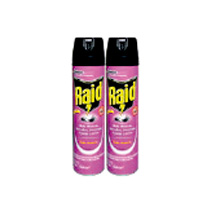 » Raid todo insecto aerosol 360cc